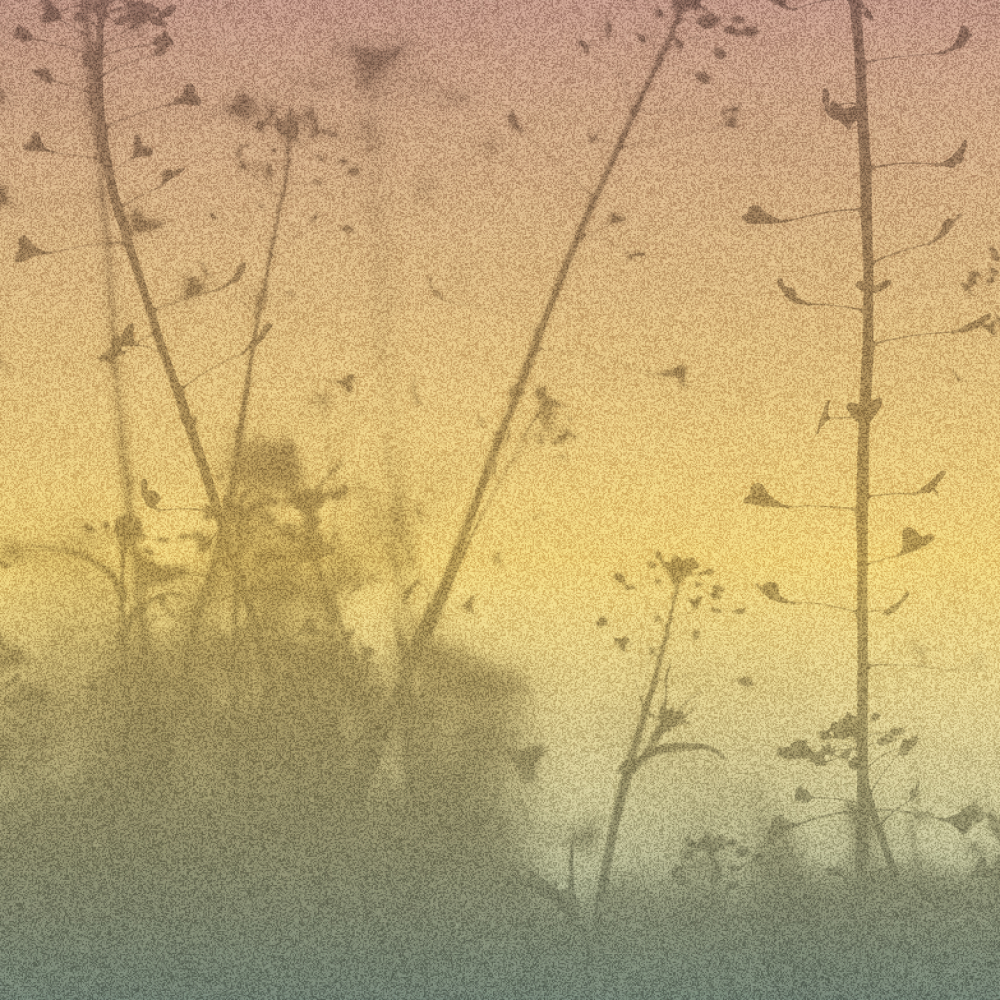 Ashley Breakfield | Goshen