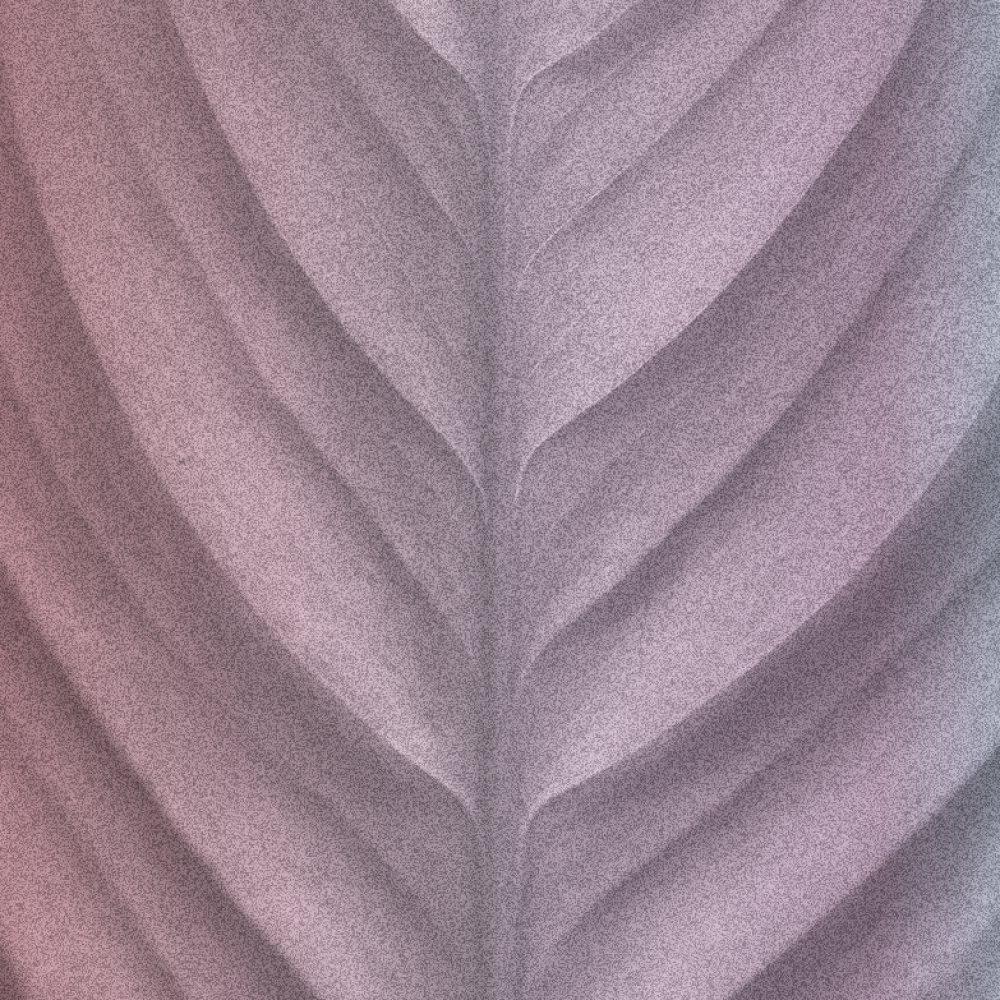 Victoria Lee | Working Dragon Mystic Community