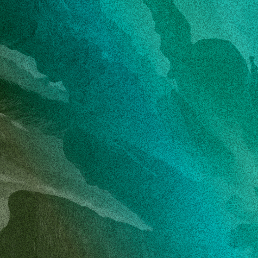 Melanie OOmmen | The Damascus Project Network