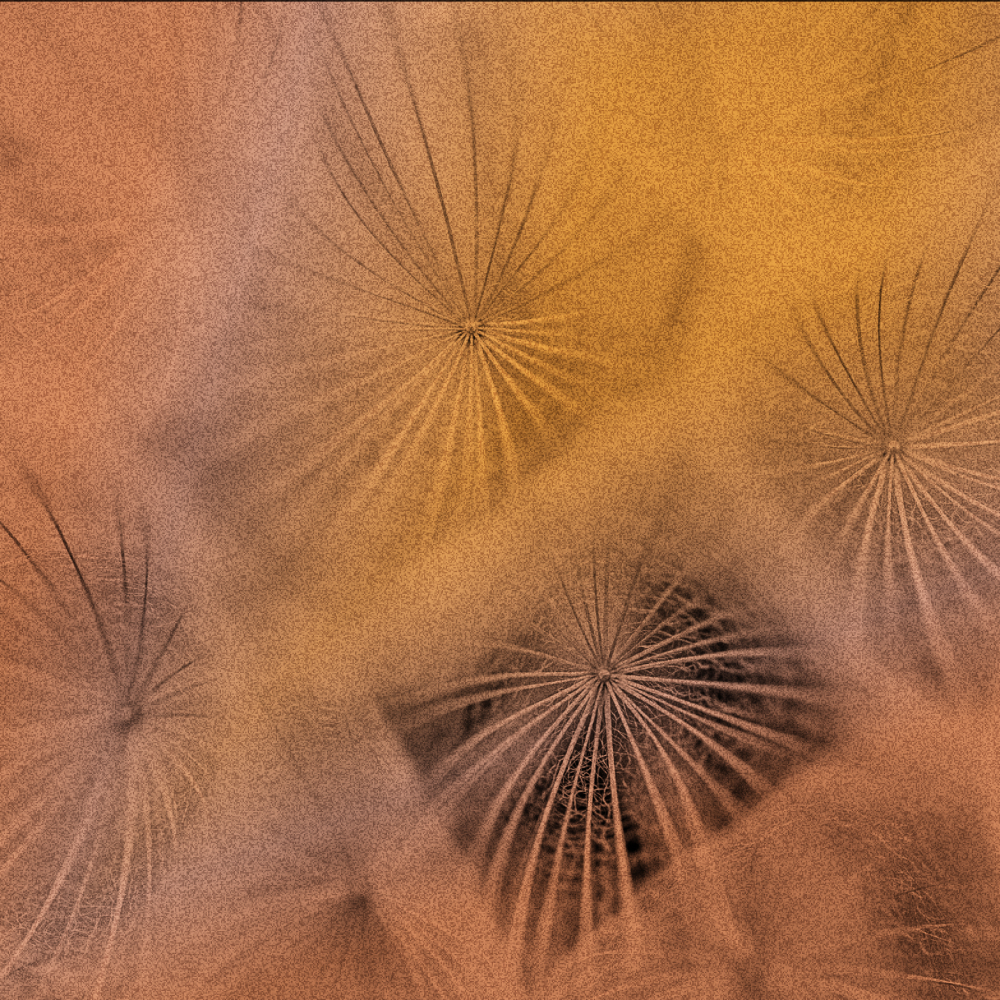 cynthia VEILLEUX | Worship Design Studio